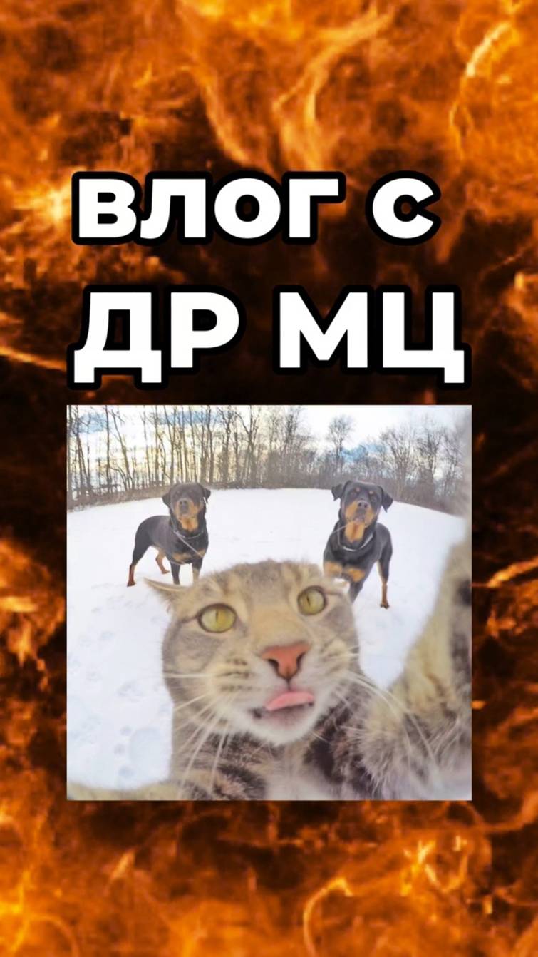 Неожиданные ответы на ожидаемые вопросы #shorts