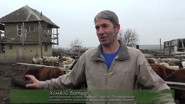 Вай боахам 28,02,25 автор Холохоева Пятимат