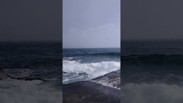 Музыка зимнего моря. Снег на море. Новый Свет. Крым.