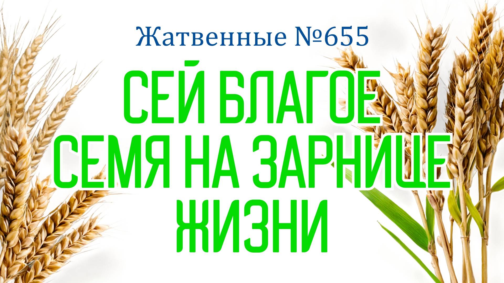 ПВ_4k №655 Сей благое семя на зарнице жизни