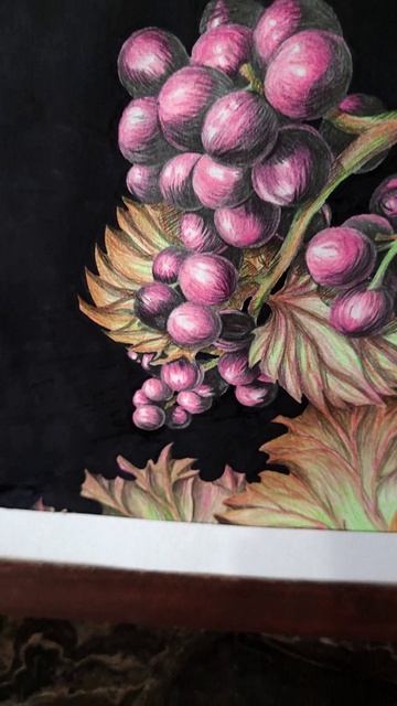 Виноград. Цветные карандаши и маркер.