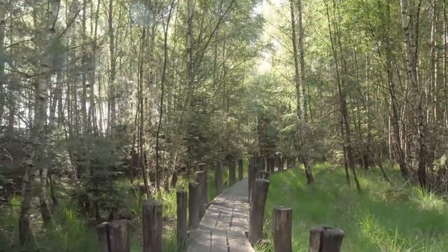 'Древлегорск' 'Святица' 'К тебе' 'Дождь о тебе'