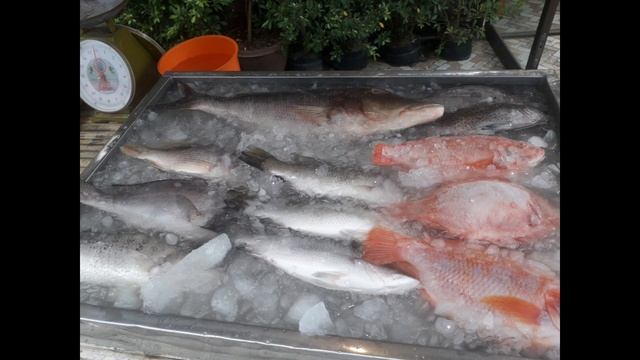 Таиланд. Остров Пхукет. Патонг. Декабрь 2023