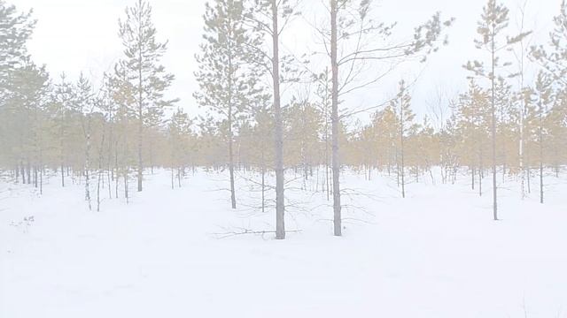 Закрытие по рябчику