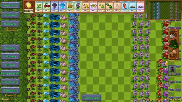 28-02-2025