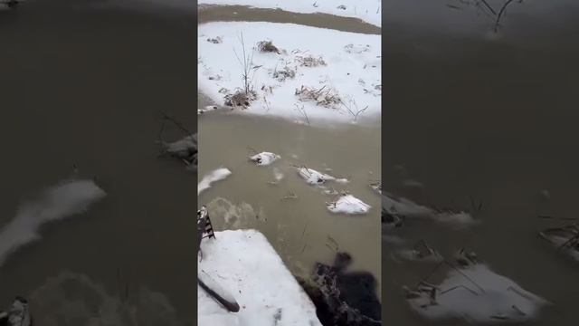 вездеход