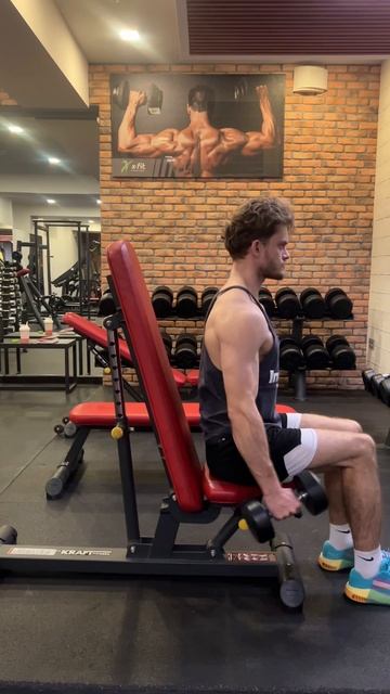 Сгибания рук с гантелями сидя