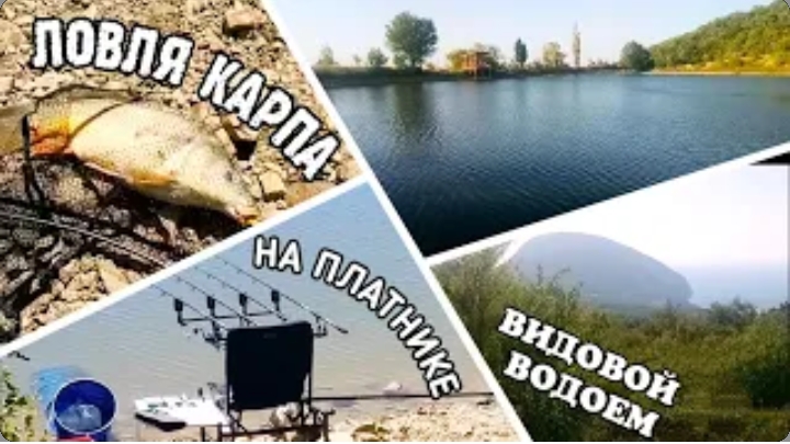 Рыбалка на карпа. Карпфишинг. Ялта рыбалка.