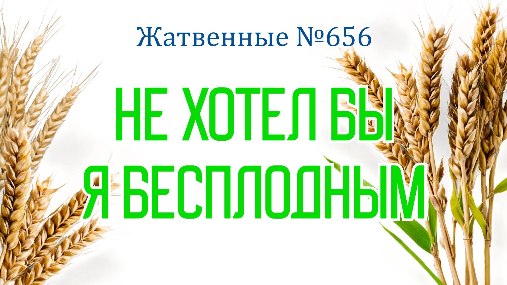 ПВ_4k №656 Не хотел бы я бесплодным
