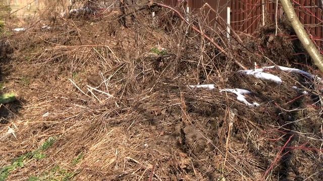 ТНТ Тверской проспект_Тверичан будут штрафовать за заброшенные земельные участки