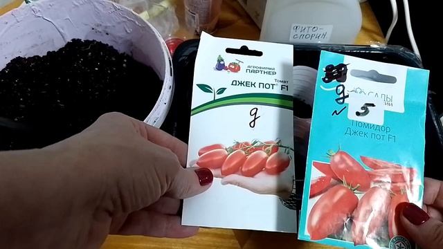 Деты на старте! Перец стартанул на пятый день!!