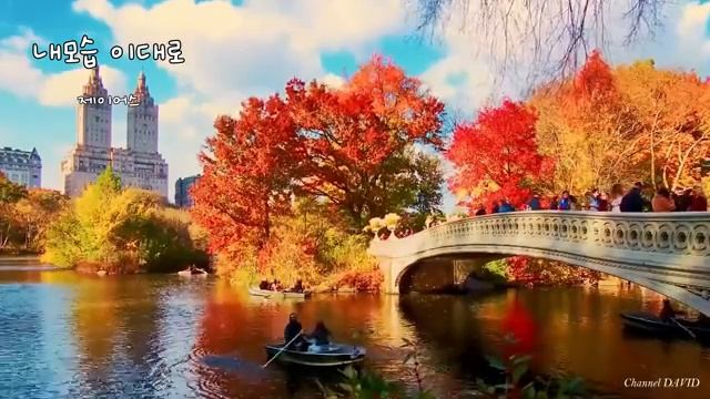 ВСЕ БОЖЬЯ МИЛОСТЬ НА КОРЕЙСКОМ