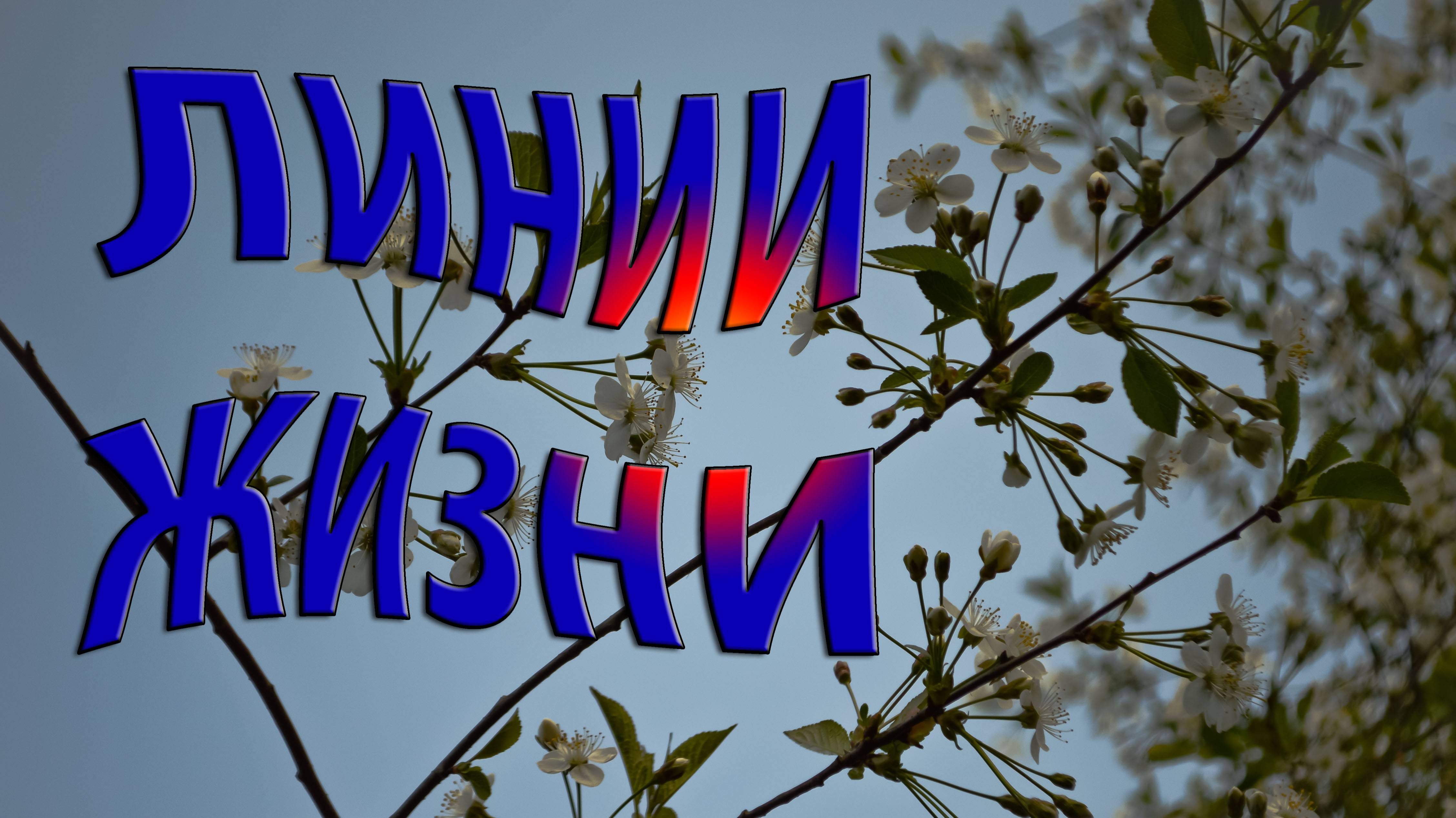 Линии жизни