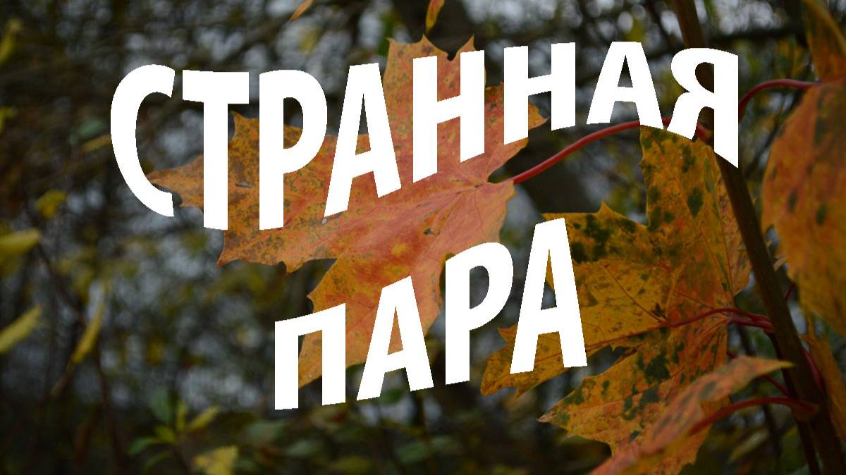 Странная пара