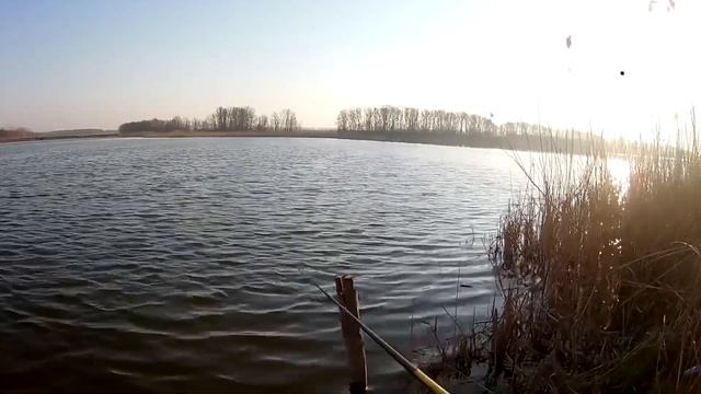 Фидерная рыбалка.