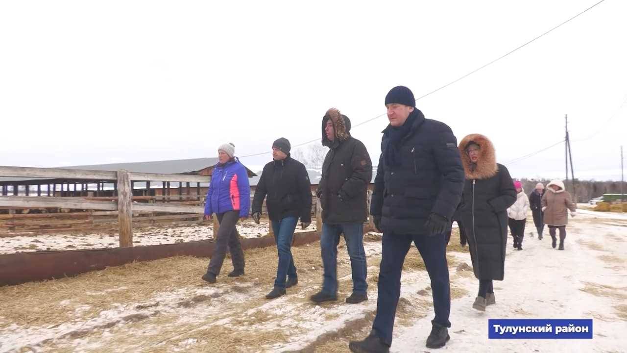 Коллаж 27.02.2025