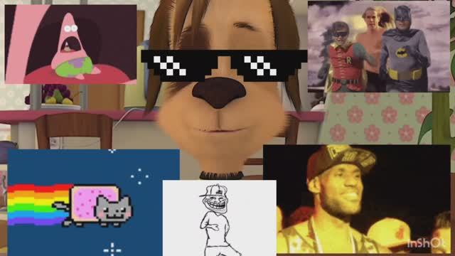 Барбоскины RYTP Один дома