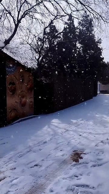 Заснеженная набережная в Новом Свете. Февраль.