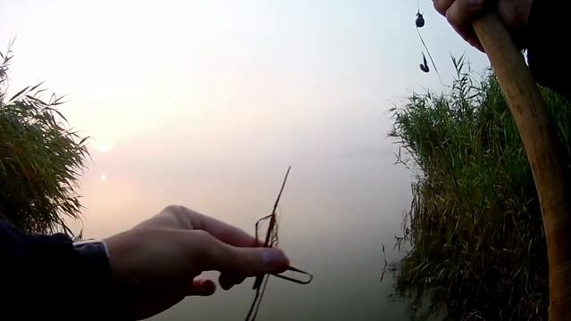 Куда увели отца?!