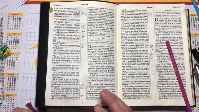 11 | Бытие 6:9-14 | Ной и его праведность