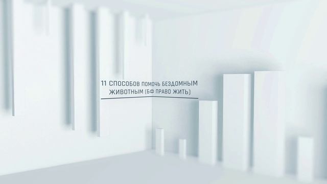 11 Способов Помочь Бездомным Животным 🐾 Как Спасти и Поддержать Наших Меньших Братьев | Славик Лайф