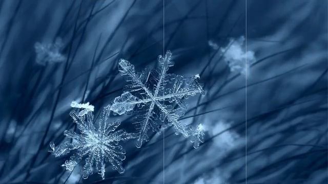 До свидания, снежинки. Слайд-шоу Калейдоскоп автор Нина Ницина  Бонусный урок