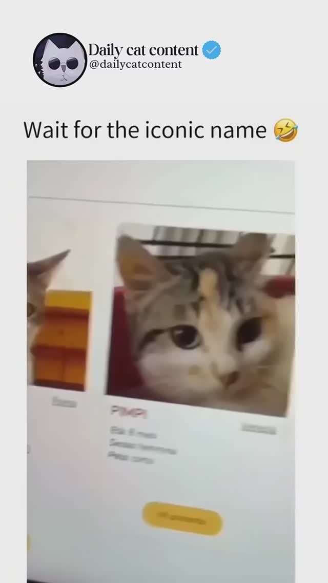 Норм же имя.!