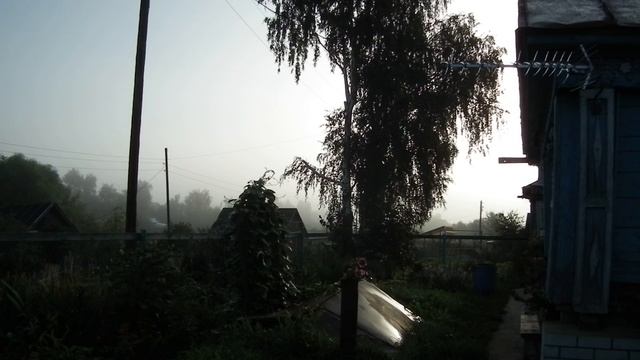 лазазей 2016_лето_DSCF2001 1