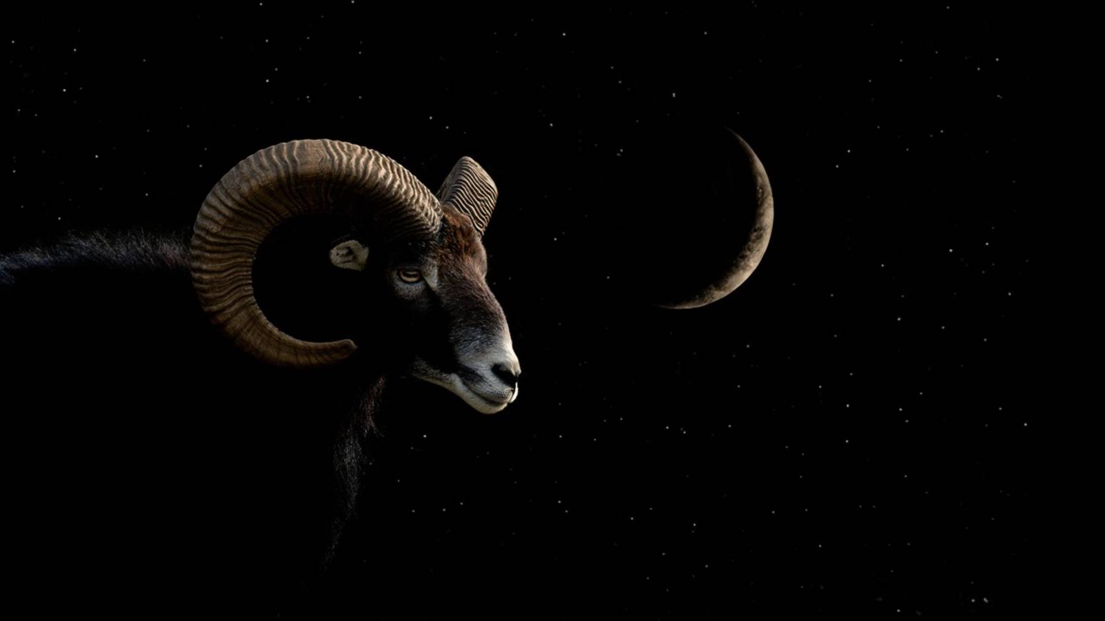 Солнечное затмение в Овне (29 марта 2025) – Новые возможности и перемены! 🔥🌑