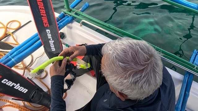 Эпизод 4: «Каждый День в Океане: Подготовка к Снорклингу и Встреча с Маленьким Осьминожкой»