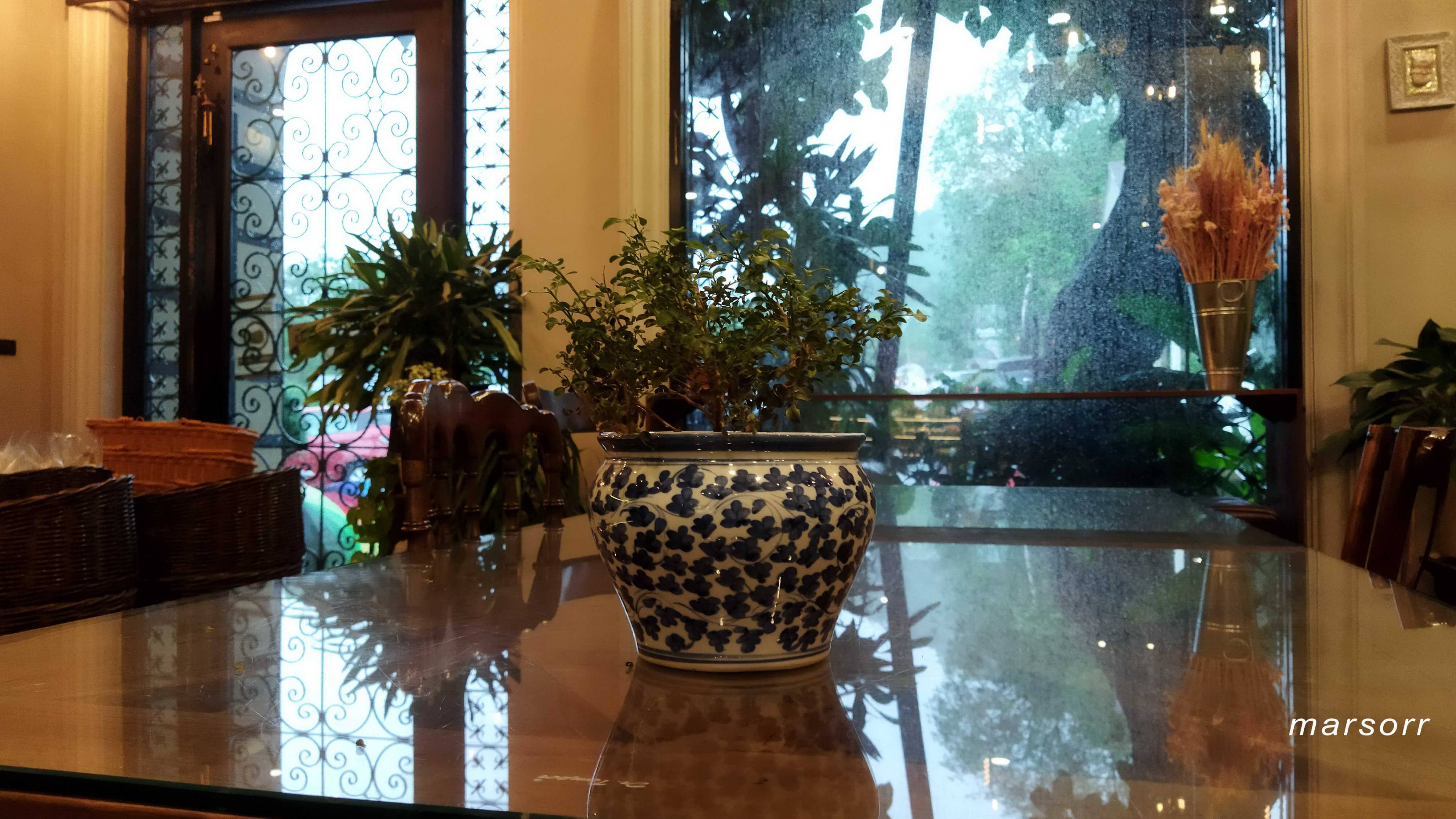 просто кафе мяу ч.4 rai pa maew ไร่ป้าแมว