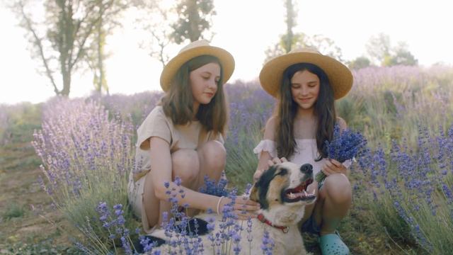 'Volkslied' 'Вода и ветер' 'Танец комара'