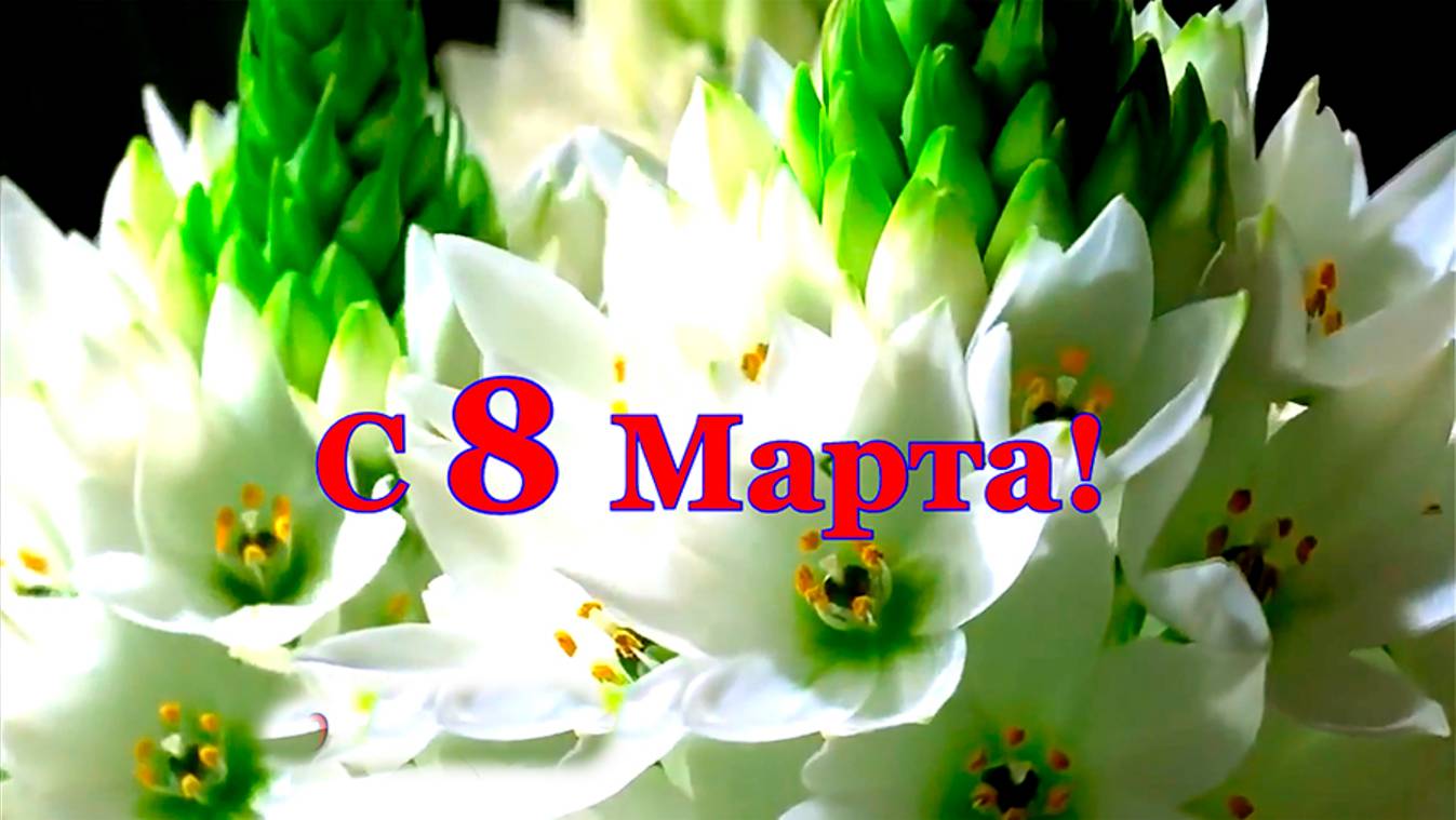 Поздравление с праздником 8 марта