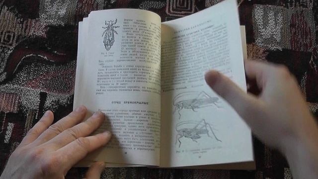 "Насекомые тульского края" (Н.П.Булухто,1987)