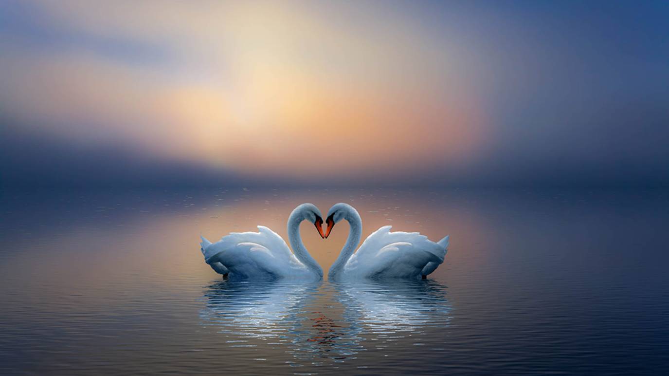 Песня 2025г. Сергей Есенин — Руки милой, пара лебедей