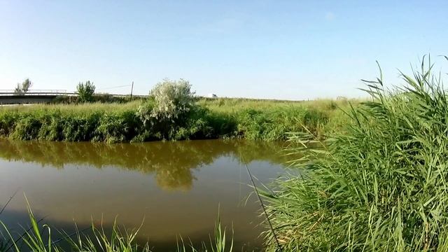 Ведро карасей! Ростовская обл.