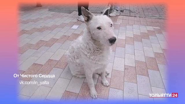 "От чистого сердца" 21.03.2023