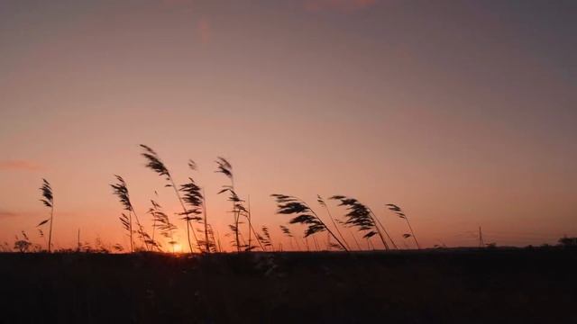 Древлегорск. "Святица". "17 лет". "Взлетающий свет"