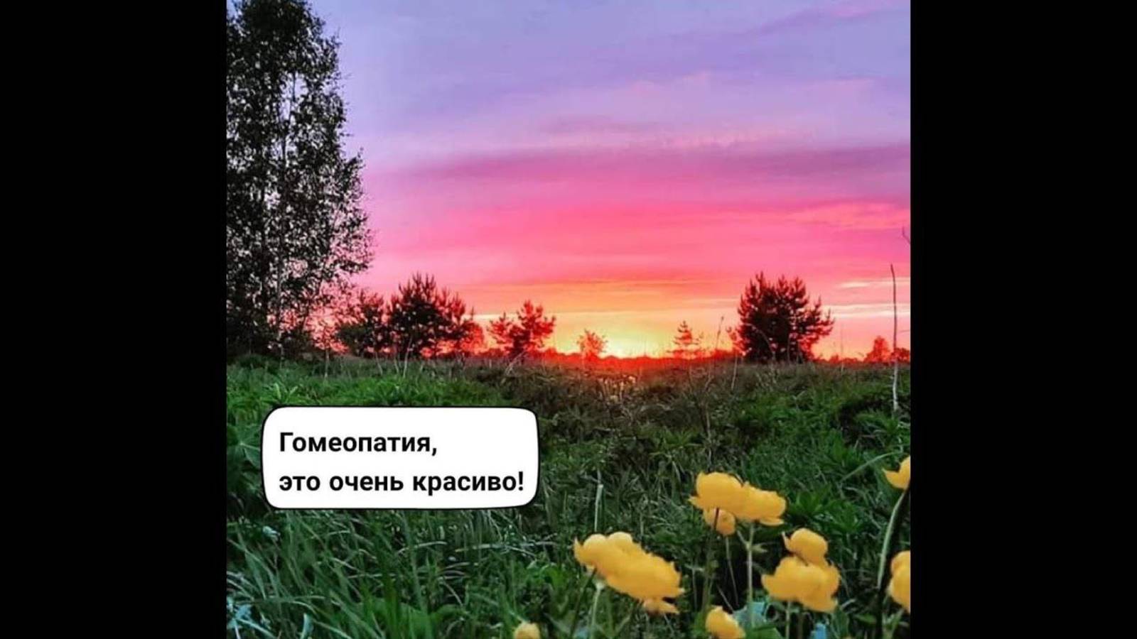 Ганемановские чтения 14 июня 2020#2