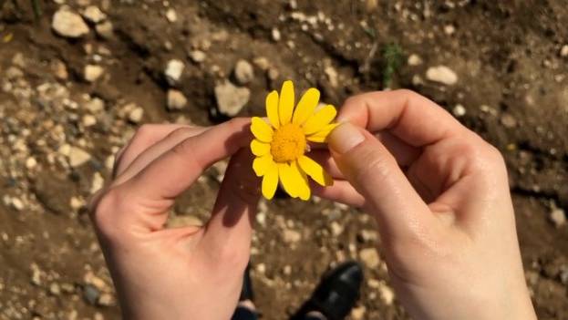 Стих о любви "Там где ты,там и я"