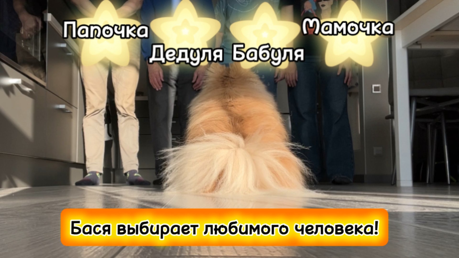 Бася выбирает любимого человека!