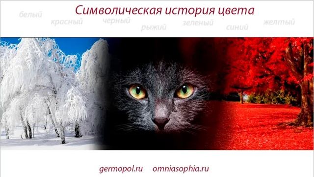 Цвет 4 - Желтый