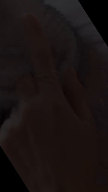 Кошечка Буся