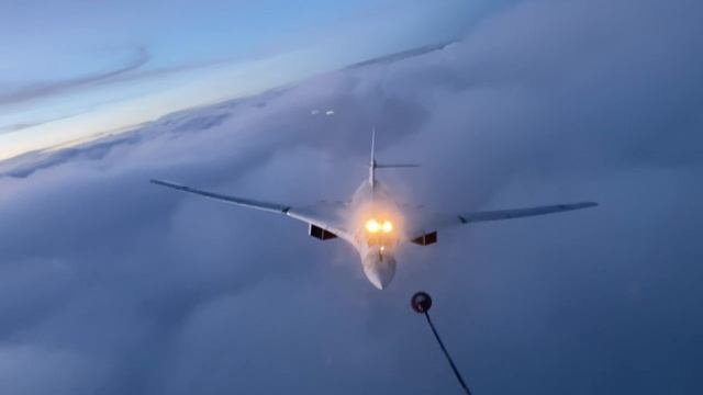 Кормежка белого лебедя. /Ту-160.