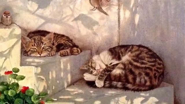 КОШКА на ОКОШКЕ: турецкая художница Фюсун Уркюн