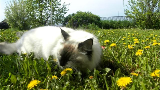 Родственники - мои Друзья в Одноклассниках (2 часть)