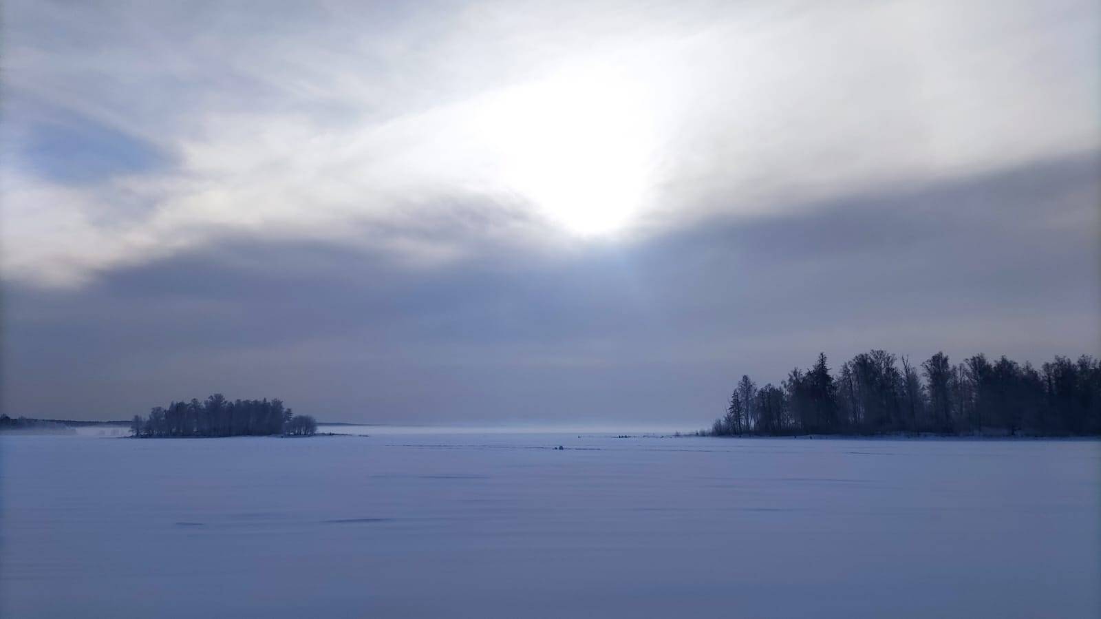 Увильды, Жемчужина, рипус, 25.02.25