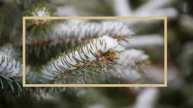 Зима  Слайд-шоу  автор Нина Голюдова  Бонусный урок  Canva Базовый курс (8 поток)