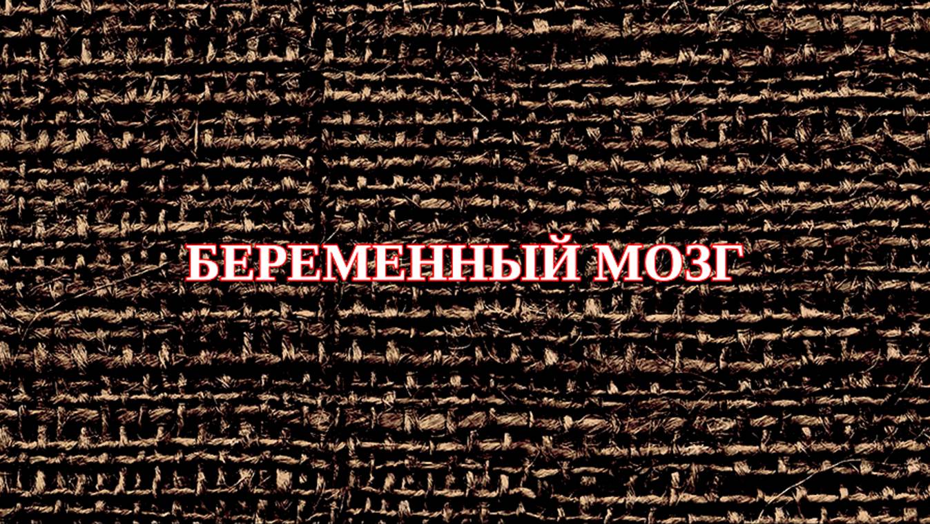 Беременный мозг