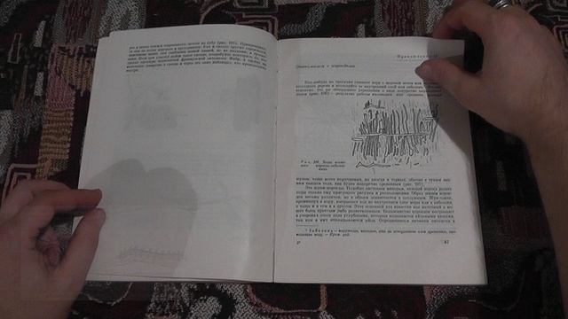 "Приключения с насекомыми" (Ричард Хедстром,1967)